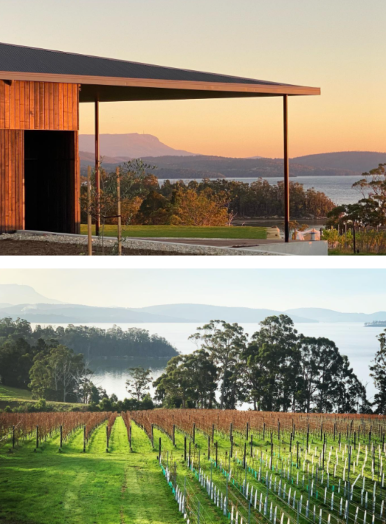 Mewstone - Luciole｜ルシオール｜WSET&ソムリエによるワインの輸入・販売｜運営 仙台市青葉区・株式会社雅流